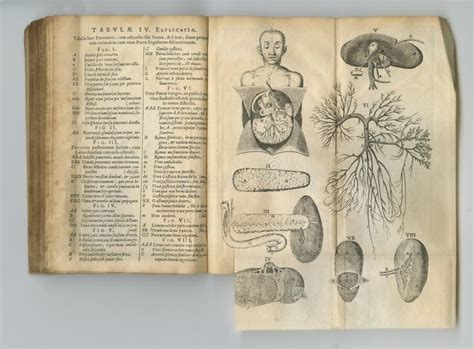 Rustic Journal Of Medicine An Old Anatomy Book With Its Pages On