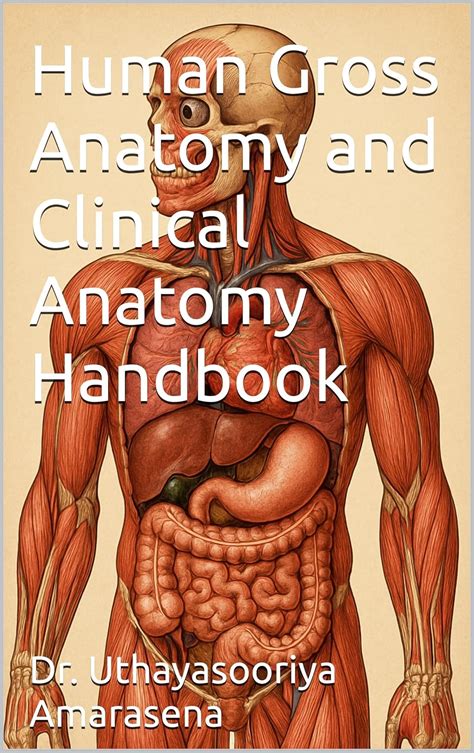 Human Gross Anatomy And Clinical Anatomy Handbook Ebook