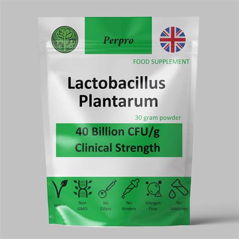 Lactobacillus Plantarum 40 Billion Cfugram Uk Made 30gram Powder Etsy