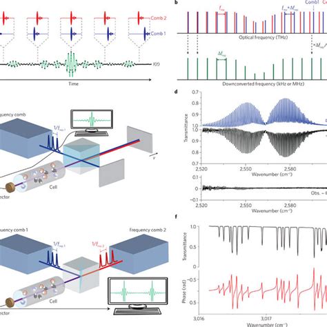 Frequency Comb Fourier Transform Spectroscopya Time Domain Picture Of