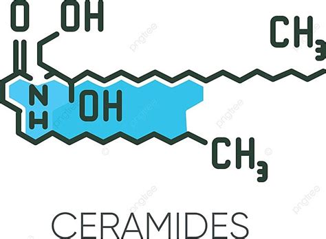 Ceramide Chemical Structure For Cosmetics Lineart Chemistry Contour