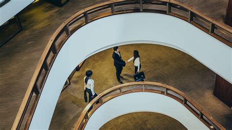 Build A High Impact Legal Team Larson Maddox