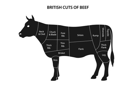 British Beef Cut Diagram Cattle Anatomy Royalty Free Vector