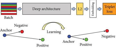 how the deep learning finger vein verification model computes the