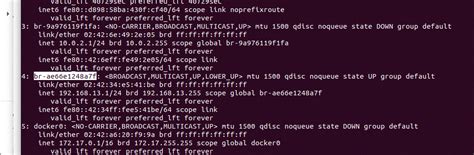 Github Drankney Blueteamwireshark Using Wireshark To Capture And Explore Packets From Red