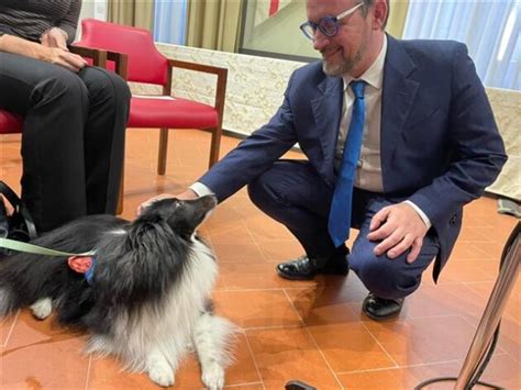 Toscana La Cotonese Giulia Meoni E Il Suo Cane Hummer Volto Bello Della Regione Il Presidente