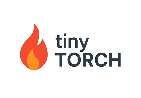 Module Activations TinyTorch