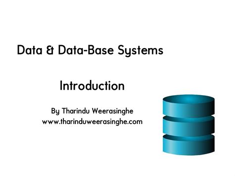 data and database systems ppt