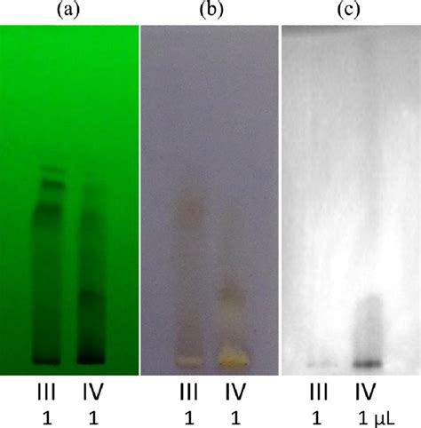 Tlc Chromatograms Of The Concentrated Crude C Incanus Extract Download Scientific Diagram
