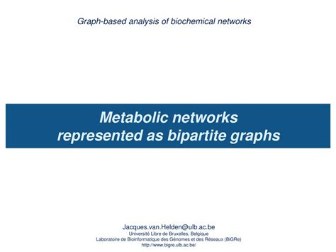 Ppt Biochemical Networks Concepts And Definitions Powerpoint Presentation Id842288