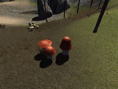 Mihai Dascalu Modelo 3d 5 Fbx Free3d