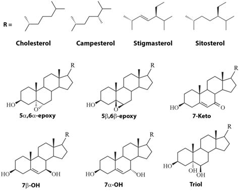 The Basic Chemical Structures Of Common Oxysterols Download