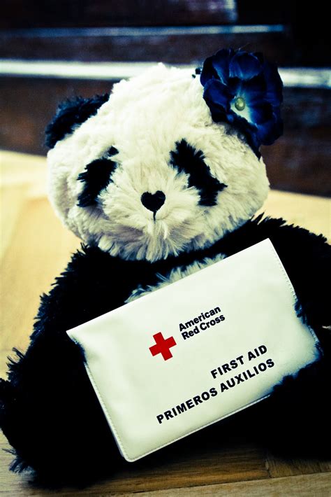 Itty Bitty Hopscotch Committee First Aid With The Girl Scouts