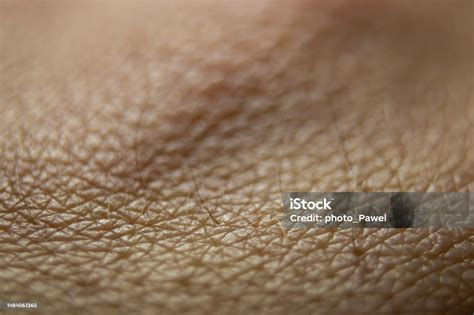Macro Healthy Human Skin Dermatology Pattern Concept Closeup Human Skin