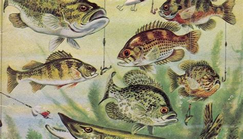 Float Sting Float Sting Added A New Photo