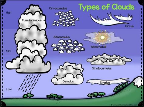 Cloud Identification Worksheet Types Of Clouds Printables And Hands On