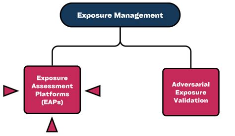What Is Exposure Assessment In Cybersecurity Picus