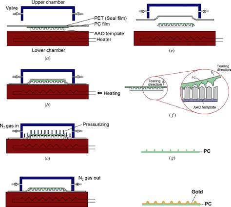 Schematic Showing Fabrication Steps Of The Nanocone Array Using