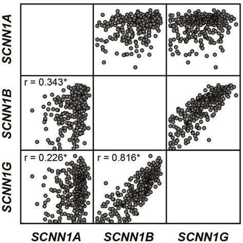 Full Article Bioinformatic Analysis For The Prognostic Implication Of Genes Encoding Epithelial