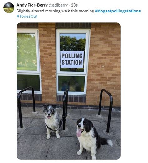 General Election Can Only Mean One Thing Its Dogs At Polling Stations