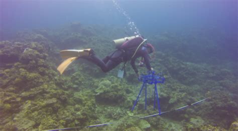 Up Scientists Invent Semi Automated Fish Monitoring Device Up Alumni