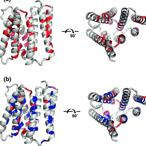 S64v And Wt Emre Drug Binding Affinity By Itc A Download Scientific Diagram