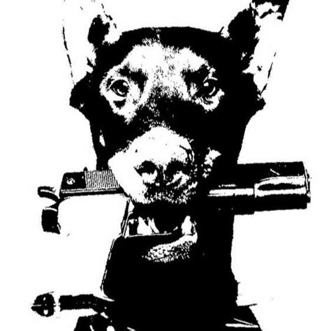 Stream Circa Music Listen To Songs Albums Playlists For Free On