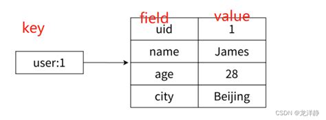 Redis 带你深入学习数据类型hash【面试重点】 Csdn博客