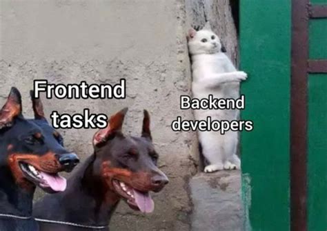 Join Codecamp And Master Fullstack Development Ability Coding Posted