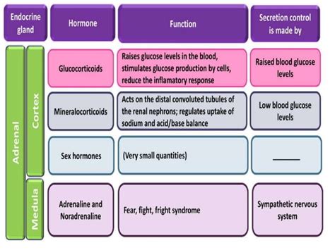 Adrenal Function Tests Pptx