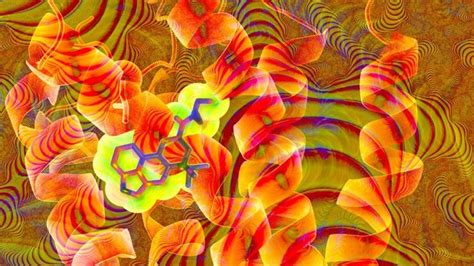 El Largo Secreto De La Droga