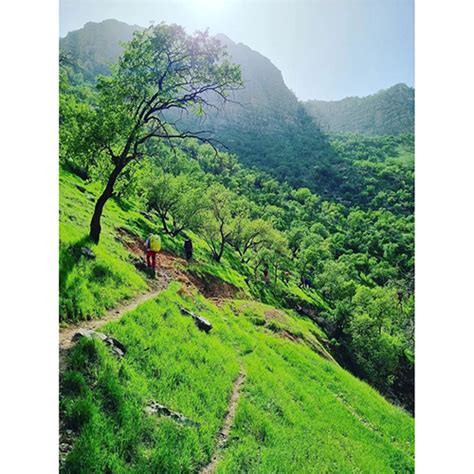 ایلامگردی باشگاه کوهنوردی توچال