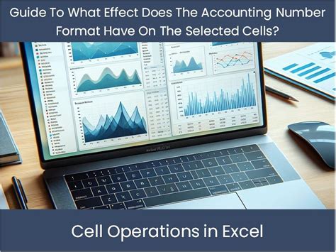 guide to what effect does the accounting number format have on the sel