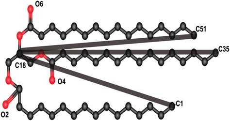 Structure Of The Tripalmitin Lipid Molecule With Atoms Used For