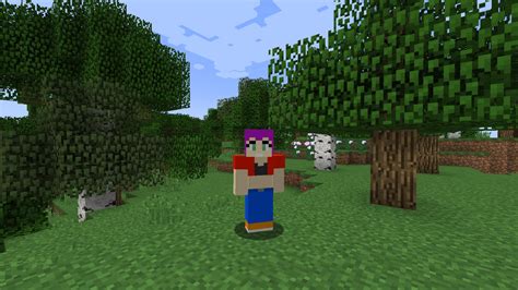 Minecraft Shelly By Igphhangout By Toainsully On Deviantart