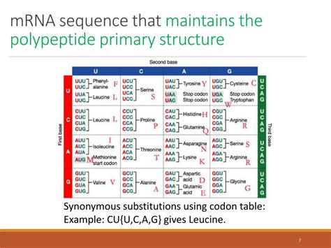 Ppt Mrna Secondary Structure Optimization Using A Correlated Stem