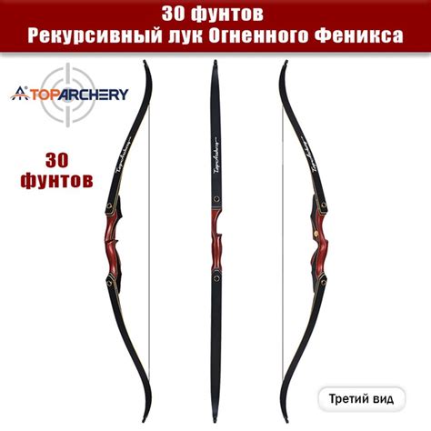 30 фунтов, рекурсивный лук, правый лук, тренировочная стрельба ...