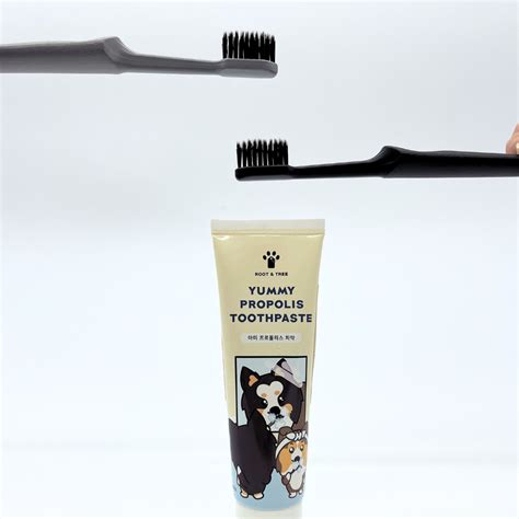 Root And Tree Yummy Propolis Toothpaste And Bundle Kit Walk With Dogs
