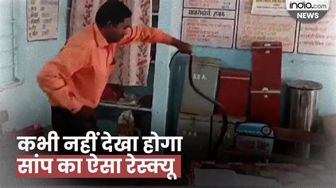Snake Video महरषटर क नसक म जब कलस क अदर नकल सप फर दख कय हआ India