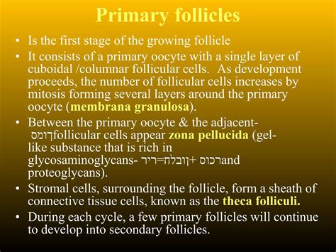 Female Reproductive System Histology Pptx