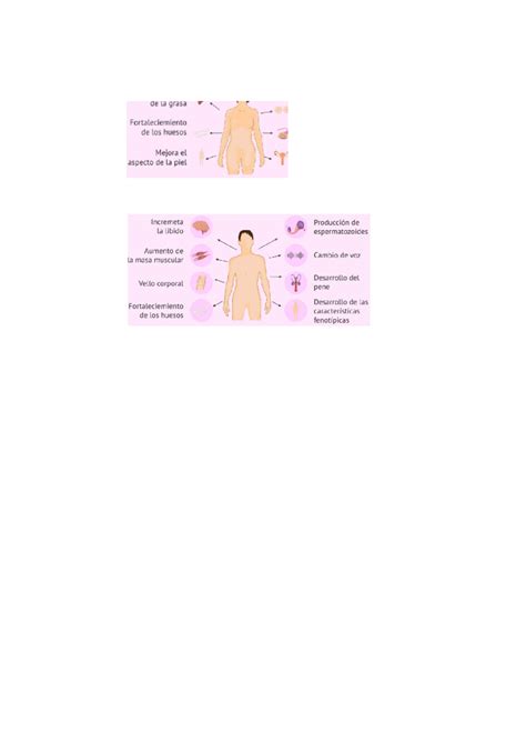 La Pubertad Son Cambios De La Puberdad Que Tiene Los Niños Y Niñaas