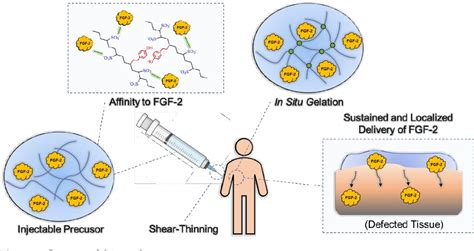 Figure 1 From Phenol Grafted Alginate Sulfate Hydrogel As An Injectable