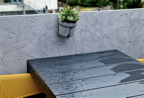 Interview Blog With Journalists Reporter About Things About Sex