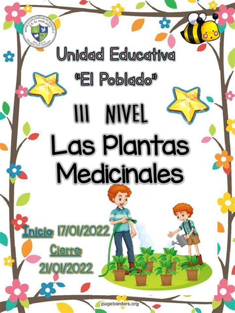 Proyecto De Plantas Medicinales Para Niños Pdf Plantas Botánica