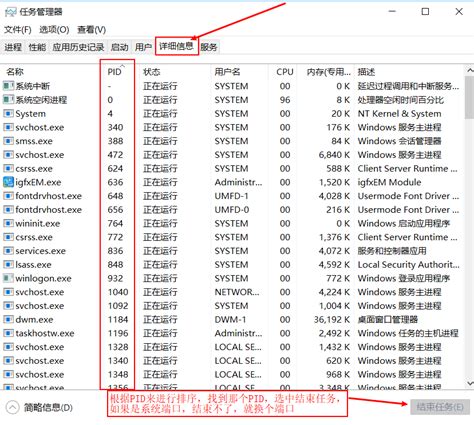 springboot启动端口占用问题 报错org apache catalina lifecycleexception protocol