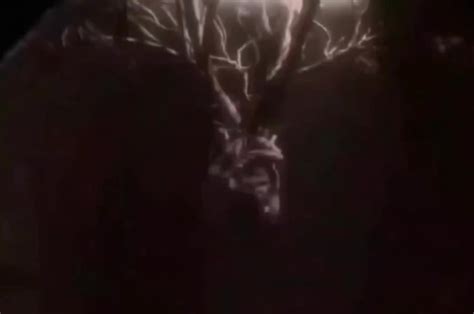 inthiyaz shaik on linkedin worldheartday hearthealth healthyliving cardiovascularhealth…