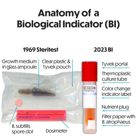 Biological Indicator Igniting Innovation In The Industry