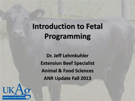 Ppt Introduction To Fetal Programming Powerpoint Presentation Free Download Id1777246