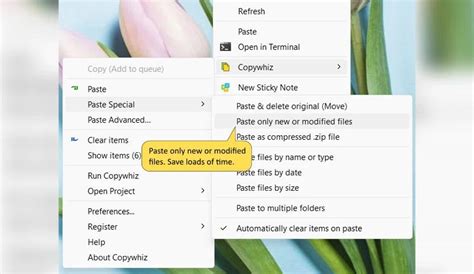 Conceptworld Copywhiz Download Latest 2025 Filecr