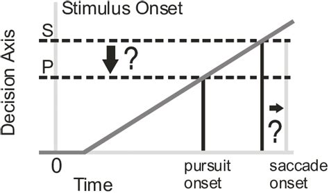 2 Factors Contributing To Differences In Latency Download Scientific